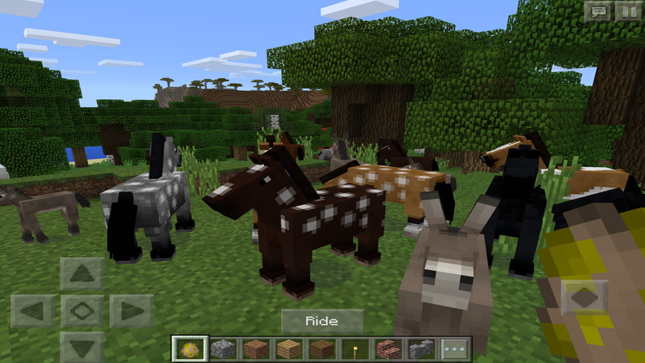 5 Cara Mudah Menjinakkan & Mengendarai Kuda Di Minecraft