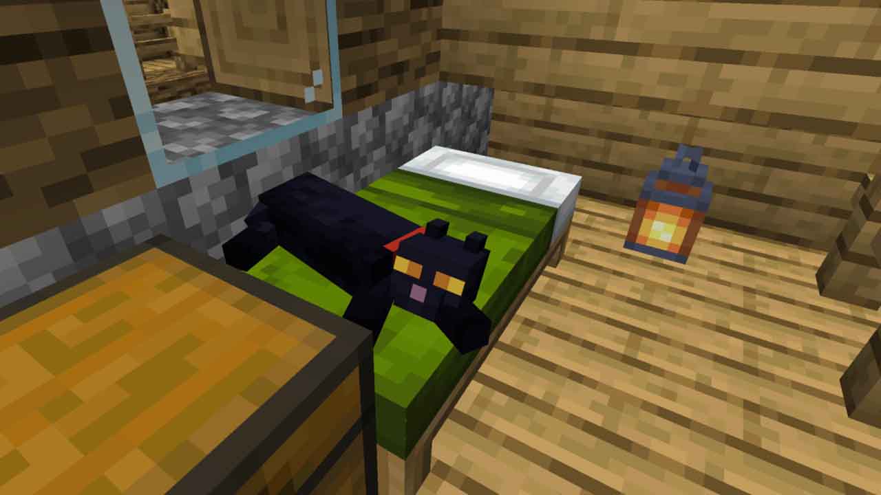 Cara Mengawinkan Kucing Di Minecraft & Minecraft PE