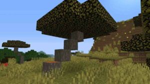 Daftar Lengkap Macam-Macam Pohon Yang Di Minecraft